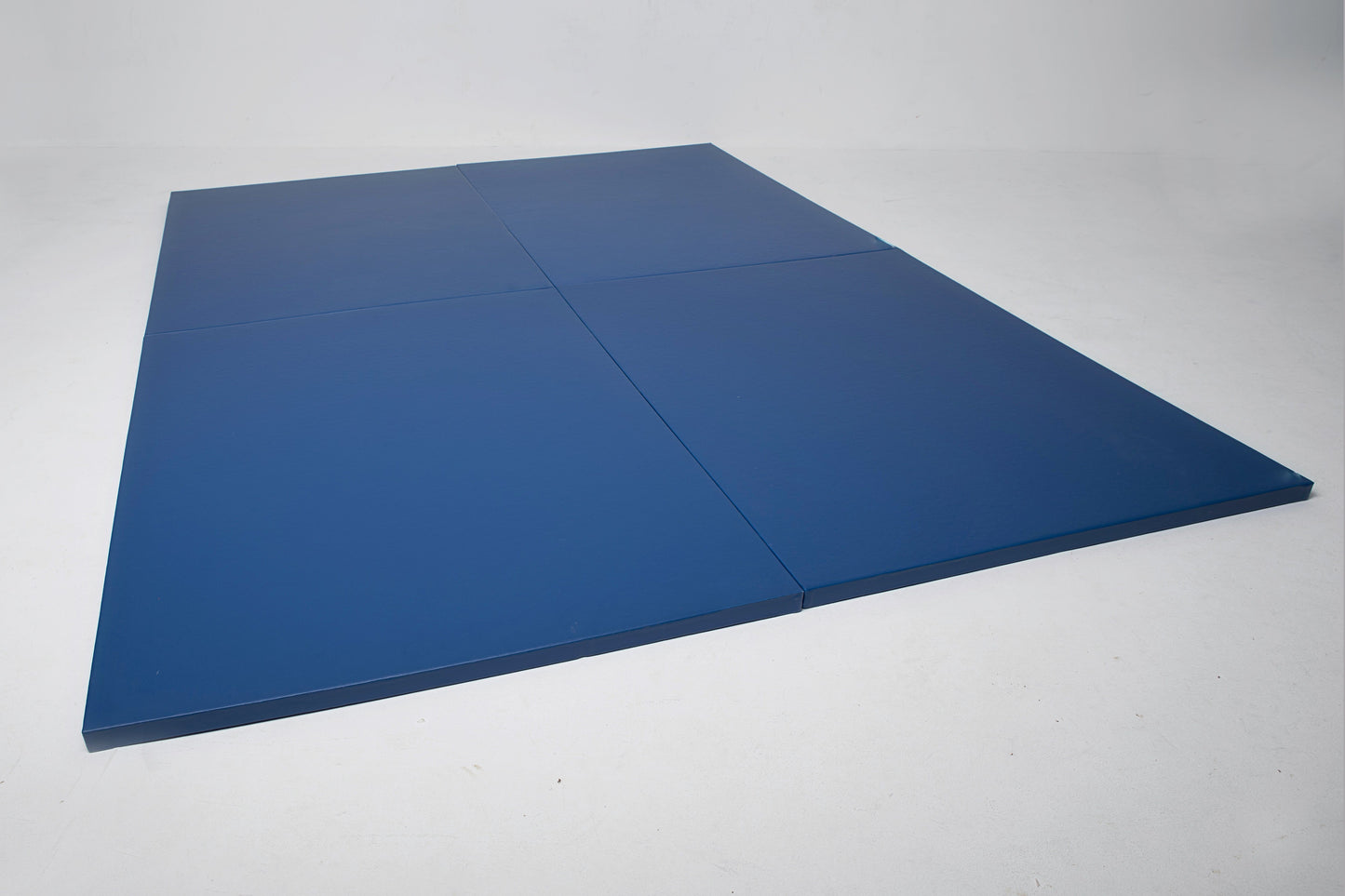 The Kay-Metzeler™ Agility Mat from Cannons UK